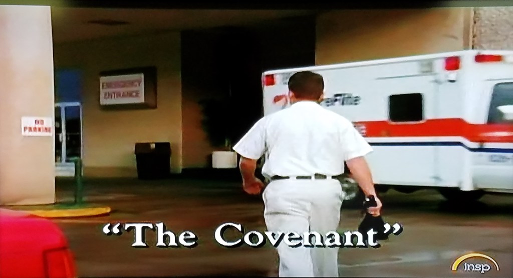 Sally Watches…Walker, Texas Ranger! – 18 Cinema Lane